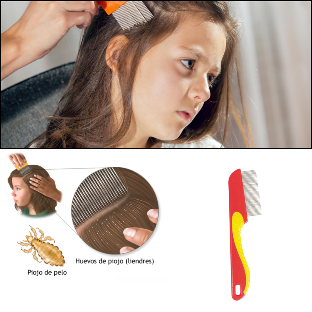 Peine metalico Piojos y Liendres - Kroma Space